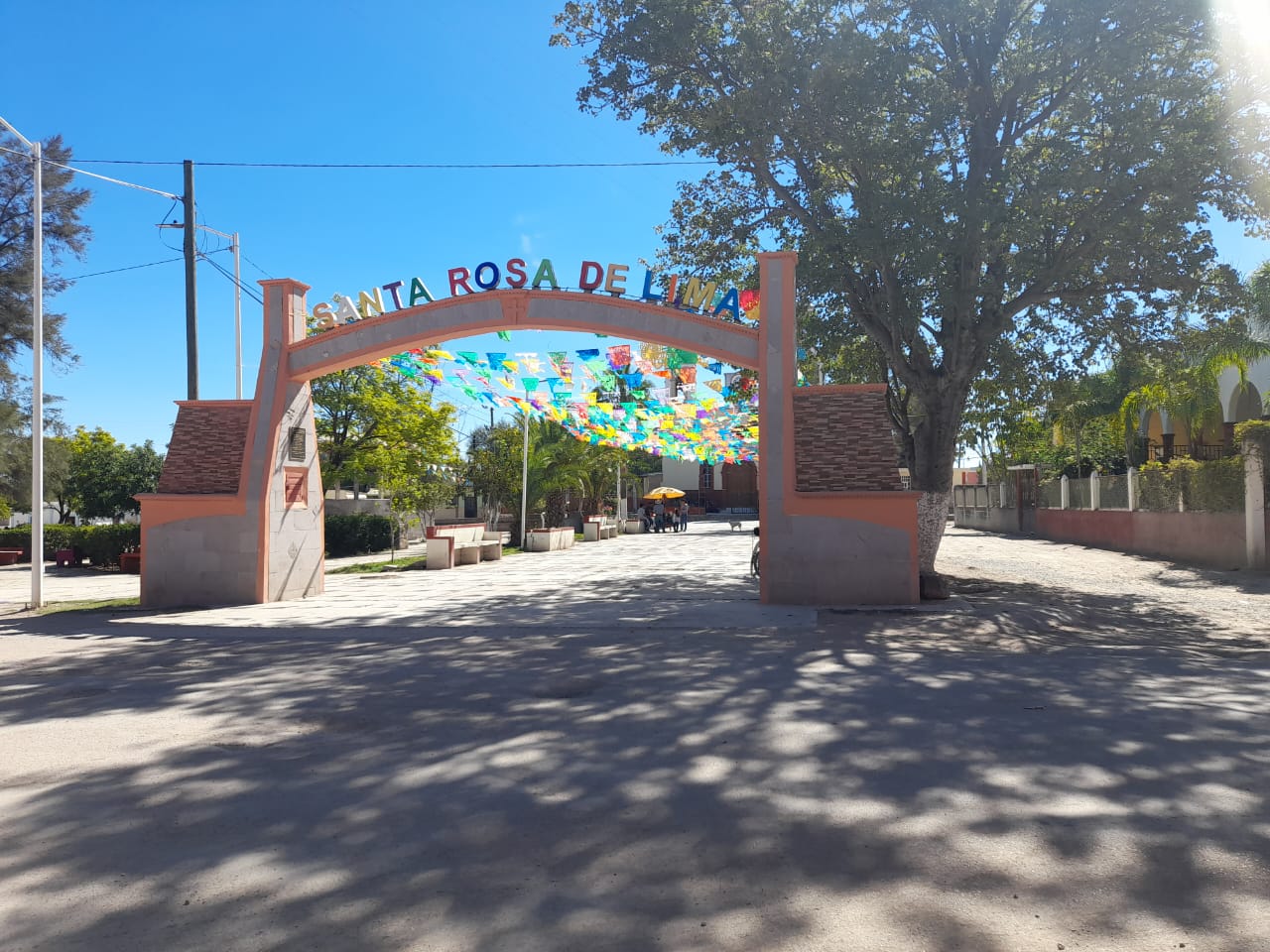 Más de 20 mil hectáreas en el ejido progreso en Rioverde en riesgo de ...