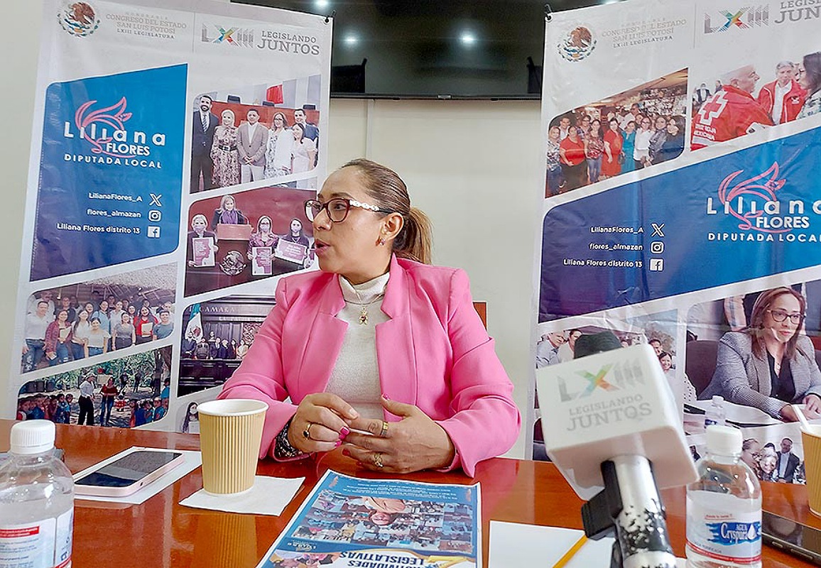 PRESENTARÁ LA DIP LILIANA GUADALUPE FLORES ALMAZÁN INFORME DE ...